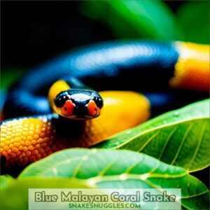 Discover the Most Beautiful Snakes in the World!