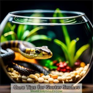 Garter Snakes as Pets: Tank Setup, Feeding, Health and More Care Tips