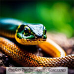 Garter Snakes as Pets: Tank Setup, Feeding, Health and More Care Tips