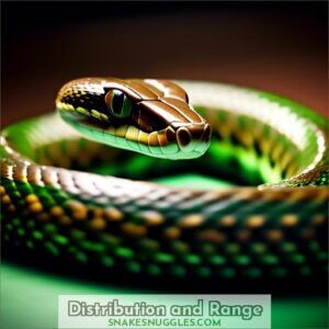 Bull Snake Vs Gopher Snake: Unraveling the Differences in Species