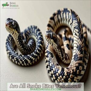 Do All Snakes Bite? Identifying Venomous Vs Non-Venomous & First Aid