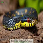 Common Garter Snakes: Size, Bite, Facts, Pictures - Essential Guide