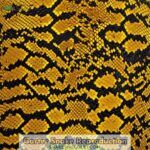 Common Garter Snakes: Size, Bite, Facts, Pictures - Essential Guide