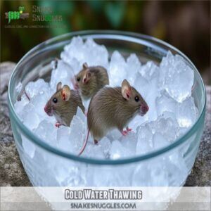 Thaw Frozen Mice for Snakes: 3 Safe Methods to Prepare Perfect Prey