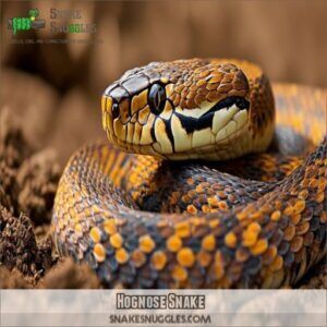 Most Docile Snake Pets: Top 10 Friendliest Species for Beginner Owners