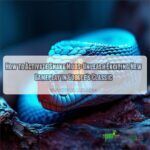 How to Activate Snake Mods: Unleash Exciting New Gameplay in Google's ...