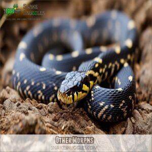 Full List of California King Snake Morphs: 50+ Stunning Variations