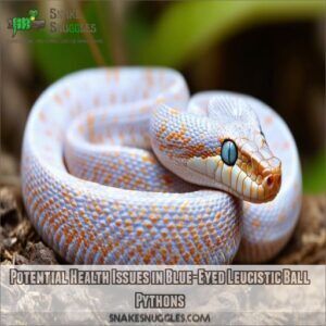 Blue-Eyed Leucistic Ball Python: Care, Appearance, and Buying Tips