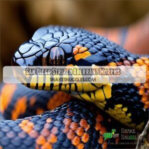 Full List of California King Snake Morphs: 50+ Stunning Variations