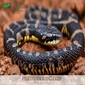 Full List of California King Snake Morphs: 50+ Stunning Variations