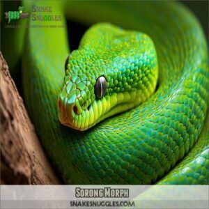Green Tree Python Morphs: Stunning Varieties and Their Unique Features