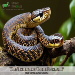 When Do Snakes Go Into Hibernation? Understanding Snake Brumation Timing