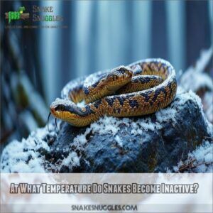 What Temperature is Too Cold for Snakes? Chilling Facts Revealed