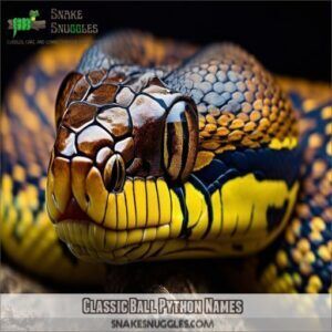 Best Ball Python Names: Unique, Mythical, and Fun Naming Ideas for Your ...