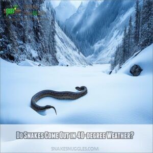 What Temperature is Too Cold for Snakes? Chilling Facts Revealed