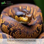 Boa Constrictor Squeeze Explained: Anatomy, Evolution, and Prey Suffocation