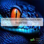How Do Snakes See at Night? 6 Stunning Secrets of Serpent Vision