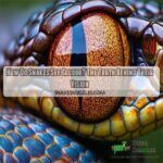 How Do Snakes See Colour? The Truth Behind Their Vision