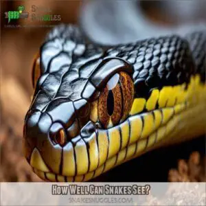 How Does a Snake See? Surprising Secrets of Serpent Vision Revealed