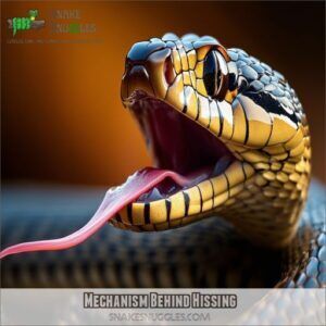 Why Do Snakes Hiss? Shocking Reasons Behind This Deadly Sound Revealed!