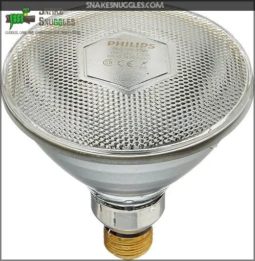 Best Heat Lamp for Snakes: 7 Top Picks Reviewed (2025 Guide)