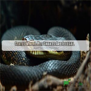 Snake Laws: Ownership, Handling, and Liability Regulations Explained