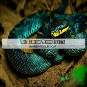 Black Mamba Venom: Neurotoxins, Cardiovascular Impact, and More