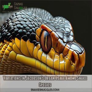 Jacobson's Organ: Snakes' Superpower Sense Explained