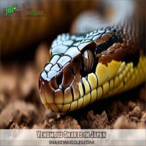Are There Snakes in Japan? Everything About Venomous and Non-Venomous Types
