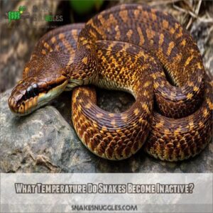 Temperature Snakes Become Inactive: What You Need to Know About Cold ...