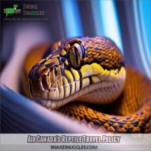 Airlines That Allow Snakes: 5 Carriers for Your Slithery Travel Companion!