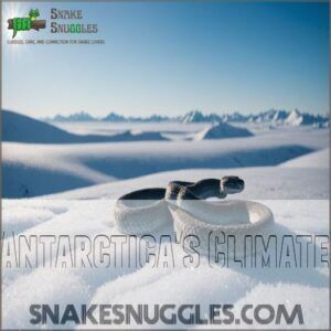 Slithering Surprise: Why There Are No Snakes in Antarctica