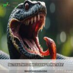 Snake Mouth Rot: Causes, Symptoms, and Prevention Tips