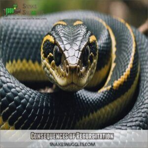 Snake Regurgitates Its Food: Why It Happens and How to Respond