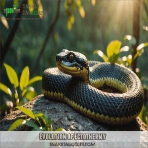 Why Are Snakes Cold Blooded? Debunking the Myths Behind Reptile ...
