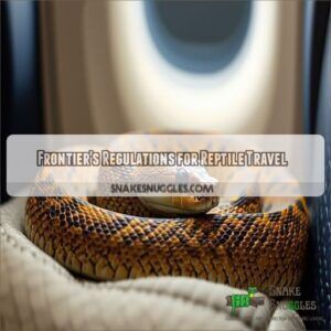 Airlines That Allow Snakes: 5 Carriers for Your Slithery Travel Companion!