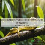 Golden Lancehead - Venomous Treasure of Brazil's Snake Island