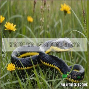 Black and Yellow Snake Texas: Venomous or Harmless? Find Out!