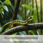 Golden Lancehead - Venomous Treasure of Brazil's Snake Island