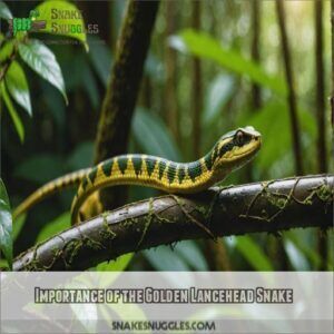 Golden Lancehead - Venomous Treasure of Brazil's Snake Island