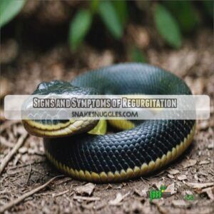 Snake Regurgitates Its Food: Why It Happens and How to Respond