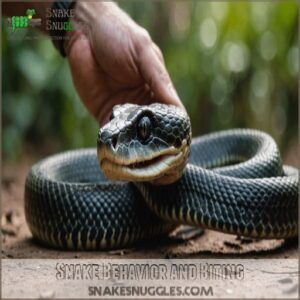 Why Snakes Bite Humans: Reasons Behind Their Deadly Attack
