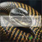 Snake Skin Shedding Process Explained: What You Need to Know