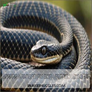 How to Tell Snake Age: 10 Expert Tricks for Accurate Estimation