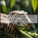 Types of Constricting Snakes: Meet the Powerful Serpent Giants