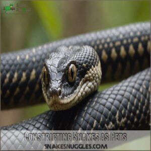 Types of Constricting Snakes: Meet the Powerful Serpent Giants