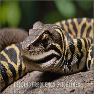Boa Constrictor Feeding Schedule: How Often and What to Feed