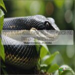 How to Tell Snake Age: 10 Expert Tricks for Accurate Estimation