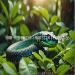 Tennessee Snakes: Identification, Safety, and Coexistence Guide