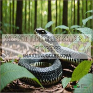Tennessee Snakes: Identification, Safety, and Coexistence Guide